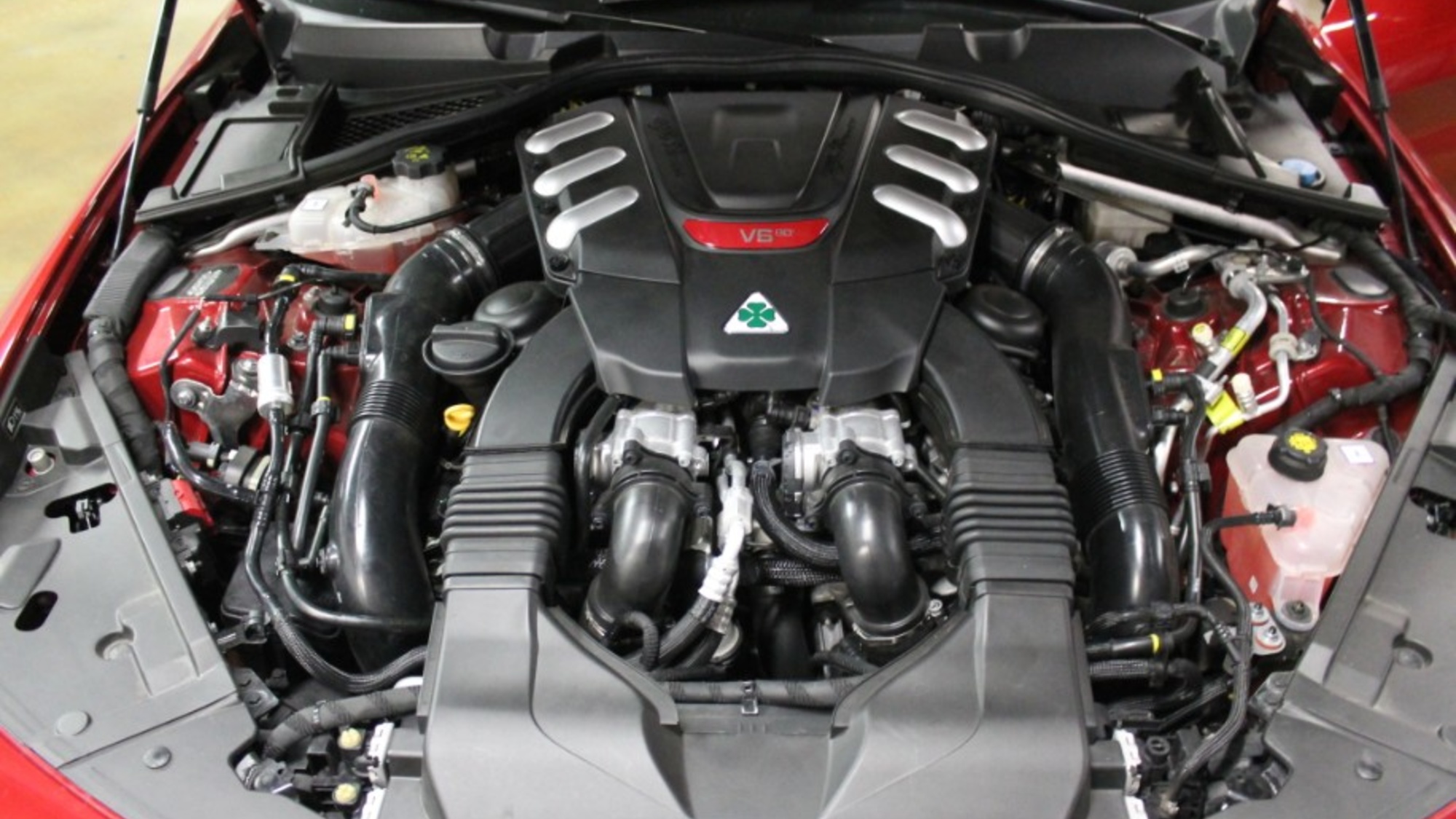 Alfa Romeo Giulia Quadrifoglio | Exotic Car Rental - Club Sportiva